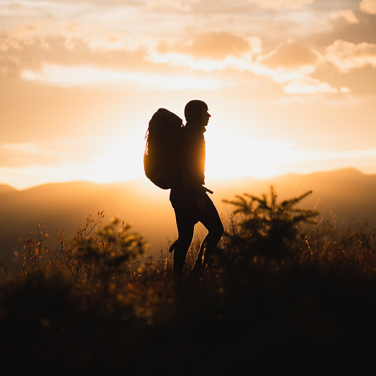 Shadowlight Ultralight Backpack – OutdoorVitals